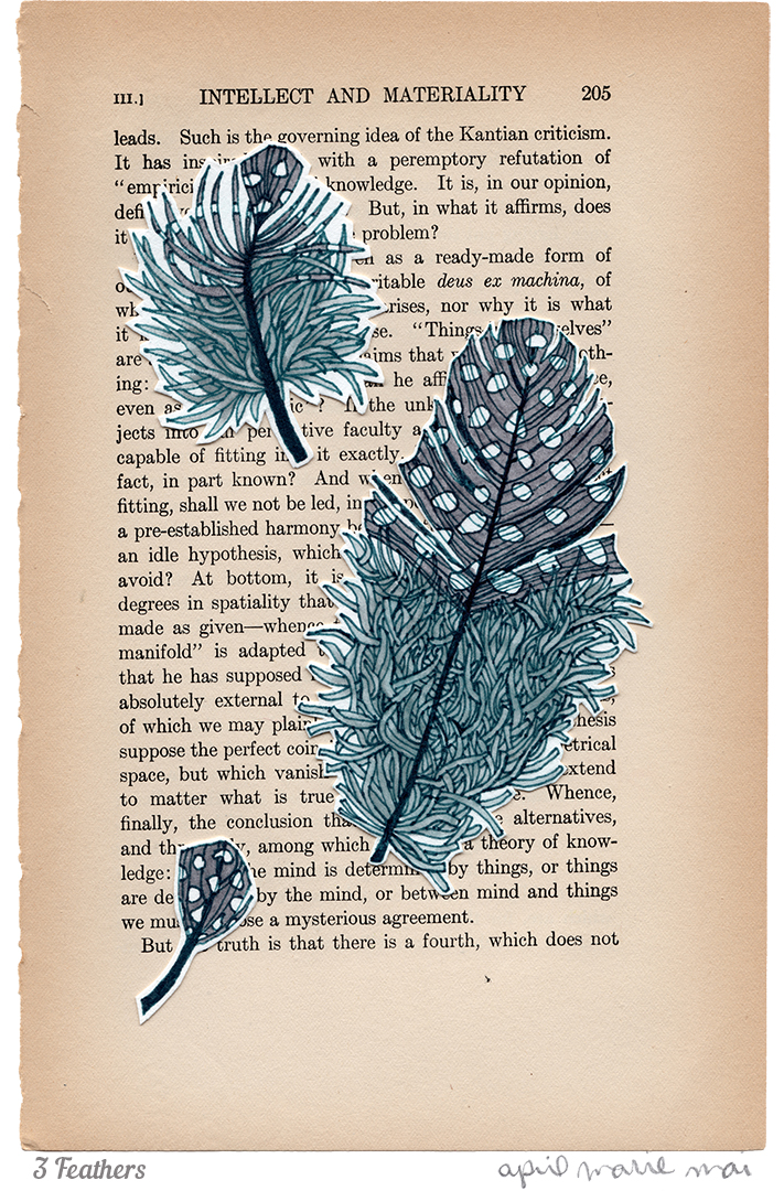 Exploration - Luna Anemone